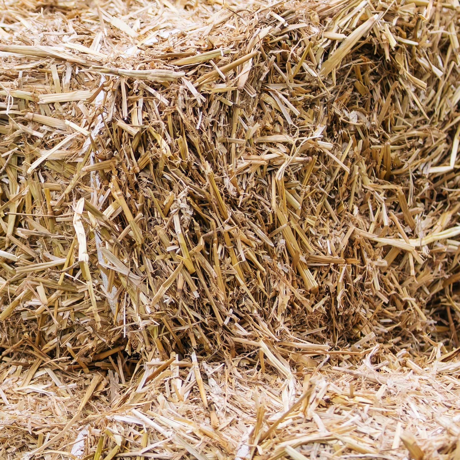 Buy Premium Quality Hay in Grand Bay, AL | Small Square Bales
